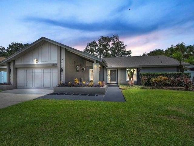 5 bedroom, Tampa FL 33624 94082231