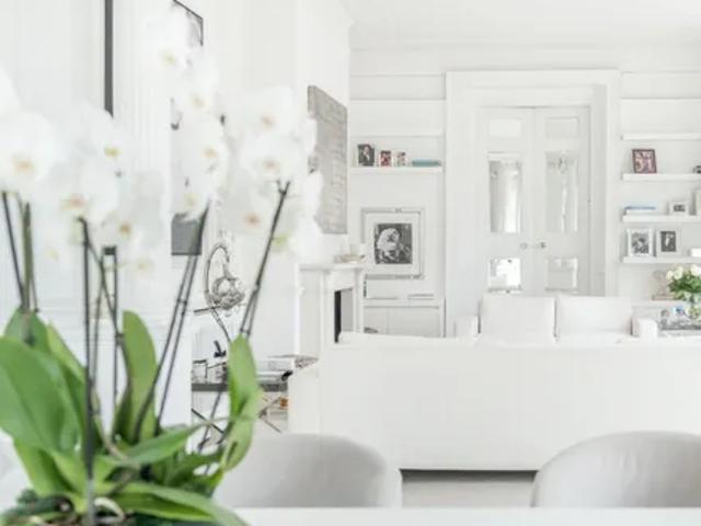 5 Belgrave Place, London, SW1X 8AJ, United Kingdom | 2 bed apartment for rent #165361857 | Rentberry