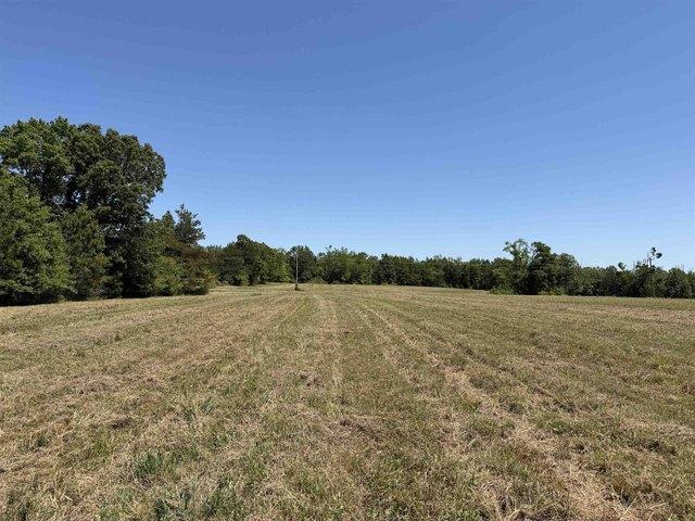 5 Bethlehem Rd, Adamsville, TN 38310