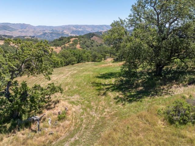 5 Black Mountain Lot 247 Trail