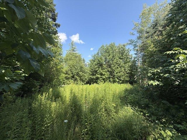 5 Black Rd N, Searsport, ME 04974