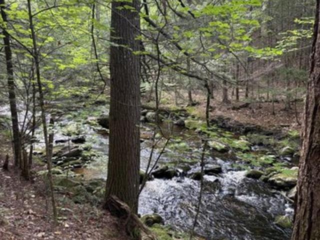 5 Bog Brook Loop, West Paris, ME 04289