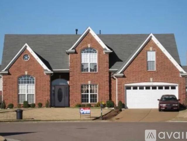 5 BR, 3 BA Apartment 1635 Blackalder Cove, Shelby County, TN 38016