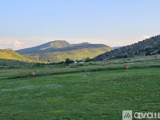5 BR, 3 BA Apartment 1125 Stone Canyon Road, Longmont, CO 80503
