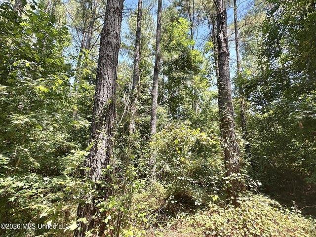 5 County Road 24, Enterprise, MS 39330