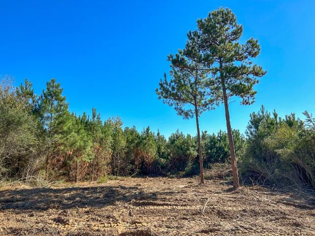 5 County Road 3121