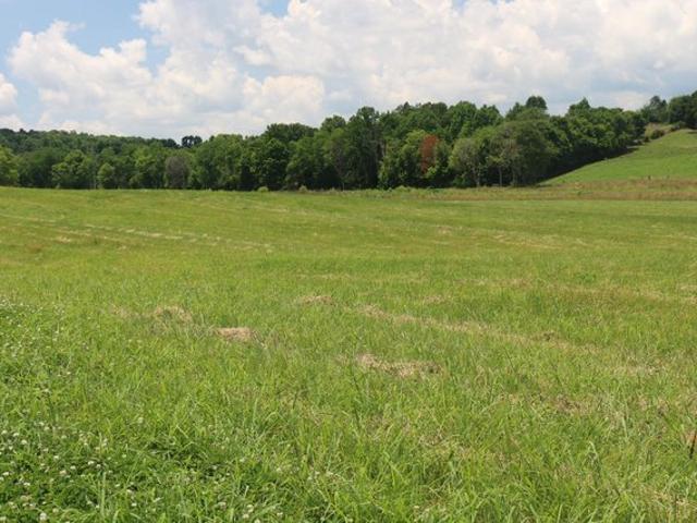 5 County Road 461, Englewood, TN 37329