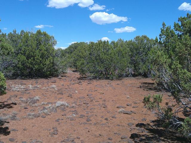 5 County Road 8077
