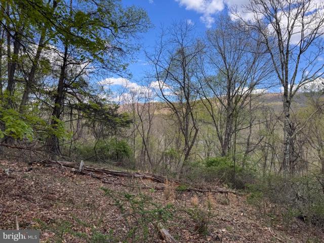 5 Cove Creek