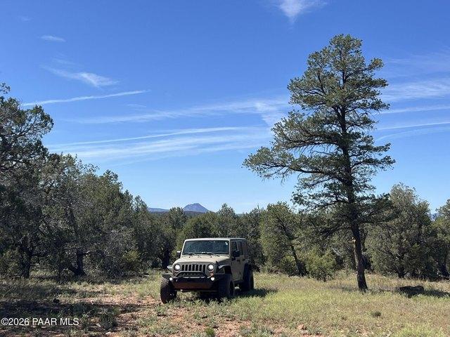 5 Deer Droppings, Ash Fork, AZ 86320