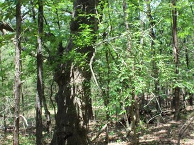 5 E 1909 Rd, Antlers, OK 74523
