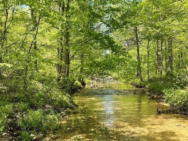 5 Furnace Creek Rd, Potosi, MO 63664