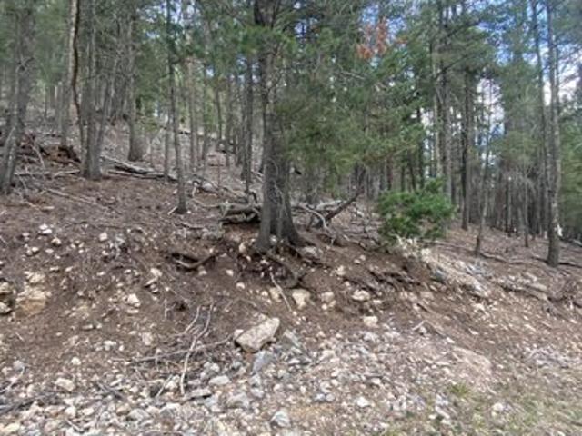 5 Forest View Rd, Cloudcroft, NM 88317