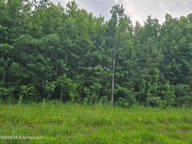 5 Gravel Springs Road