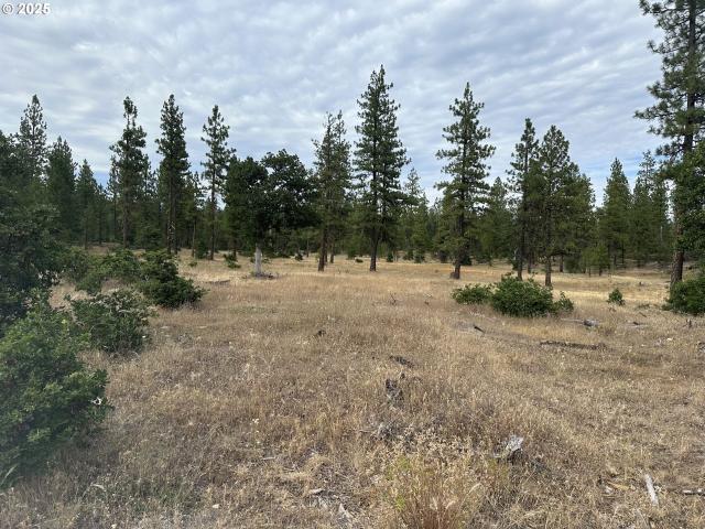 5 Greyback Mtn RD