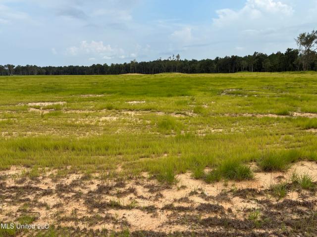 5 Hwy 43 Kiln, MS 39556 | MLS #4134 | Compass
