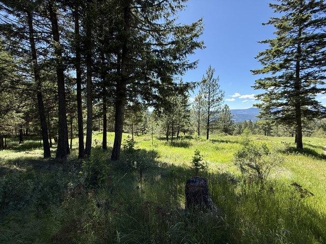 5 Hidden Springs Ranch Rd, Republic, WA 99166