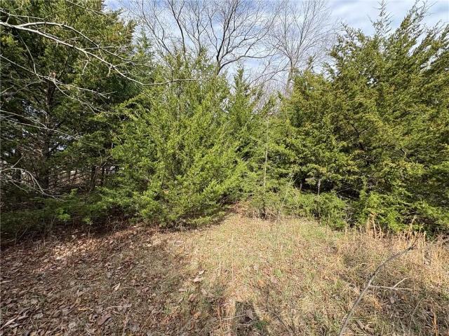 5 Itasca Ln, Lacygne, KS 66040 | MLS #2610