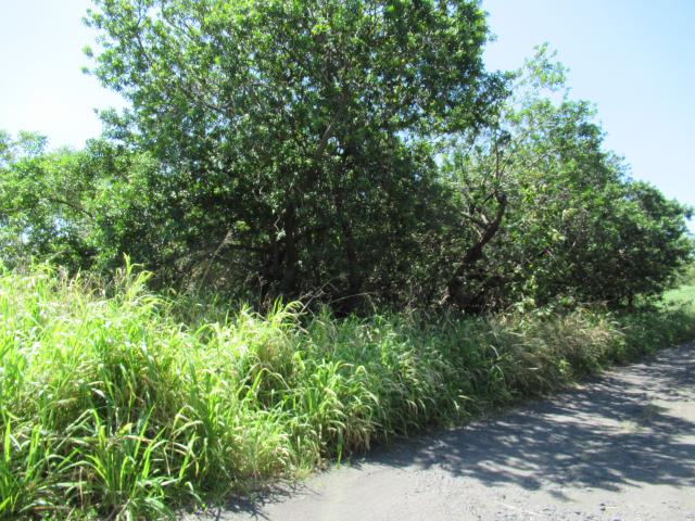 5 Kai Kane Loop, Naalehu, HI 96772 | Compass
