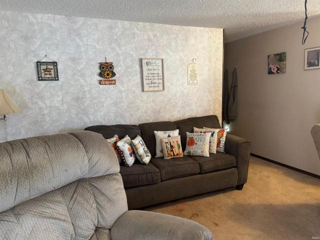 5 Kelly Drive