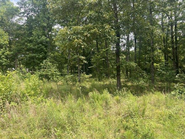 5 Lakeview Dr, Linden, TN 37096