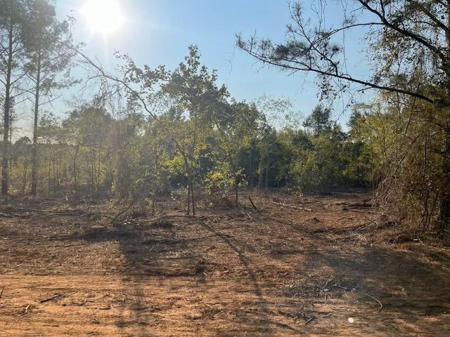 5 Lake Rd, Plain Dealing, LA 71064 | MLS #20586 | Compass