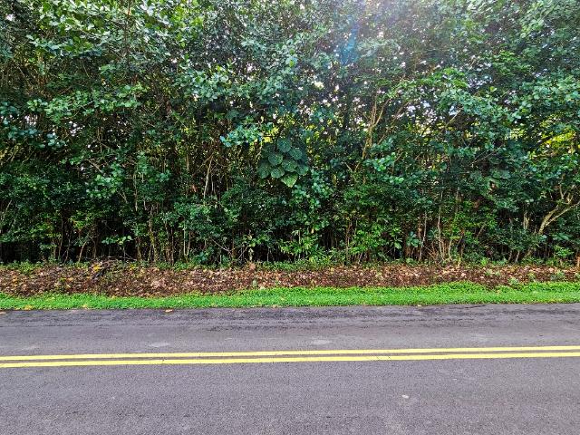 5 Puna Pkwy, Pahoa, HI 96778 | MLS #724738