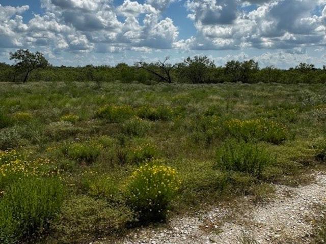 5 Private Rd, Waelder, TX 78959 | MLS #77707 | Compass