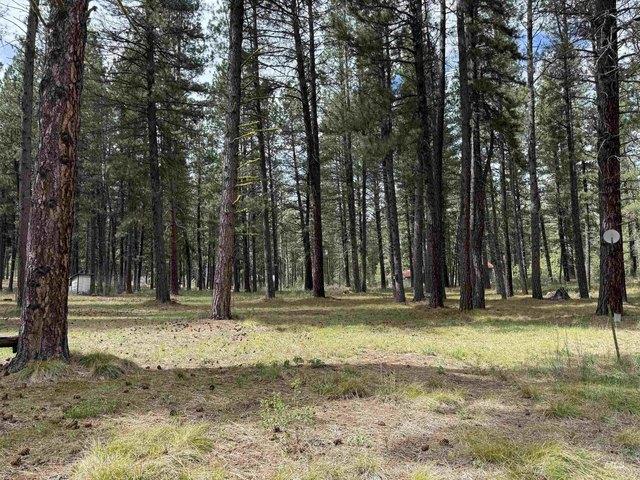 5 Ranft Dr, Idaho City, ID 83631