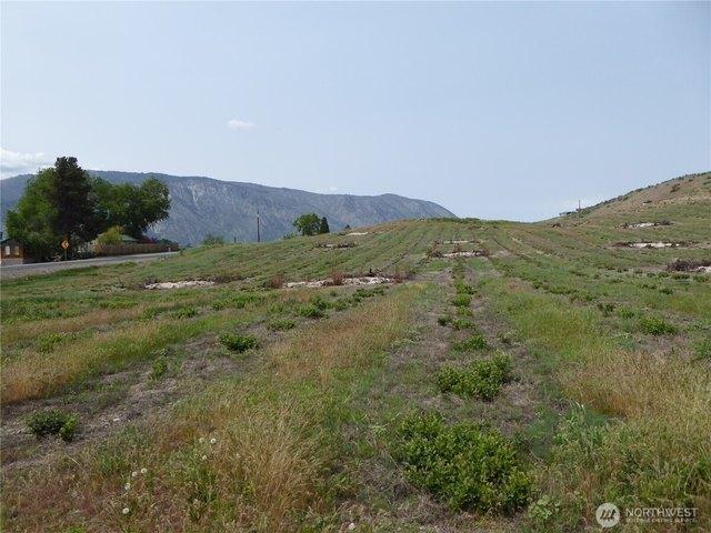 5 Roses View Ln Lot A, Manson, WA 98831