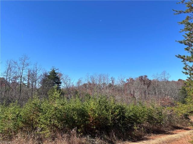 5 Stephens Trail Road