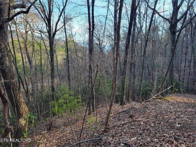 5 Swann Saddle, Sevierville, TN 37876