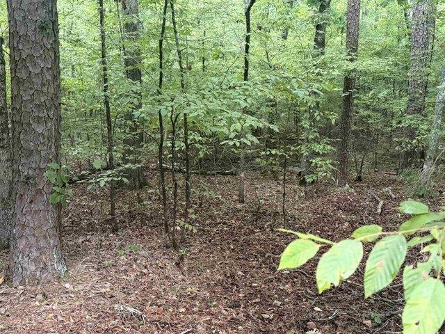 5 Saldana Way, Hot Springs Village, AR 71909