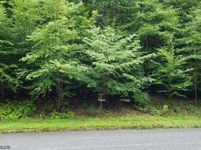 5 Settlers Ridge Ct, Washington Township, NJ 07865