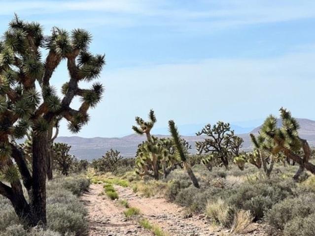 5 Shore Ave, Meadview, AZ 86444