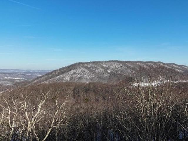 5 Ski Slope Way, Hot Springs, VA 24445