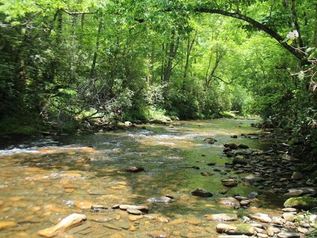 5 Slate Stone Ln, Hayesville, NC 28904
