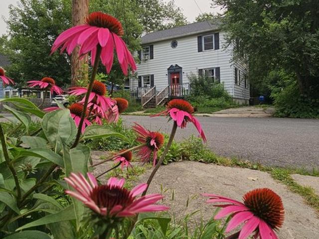 5 Snyder Ave, Rosendale, NY 12472