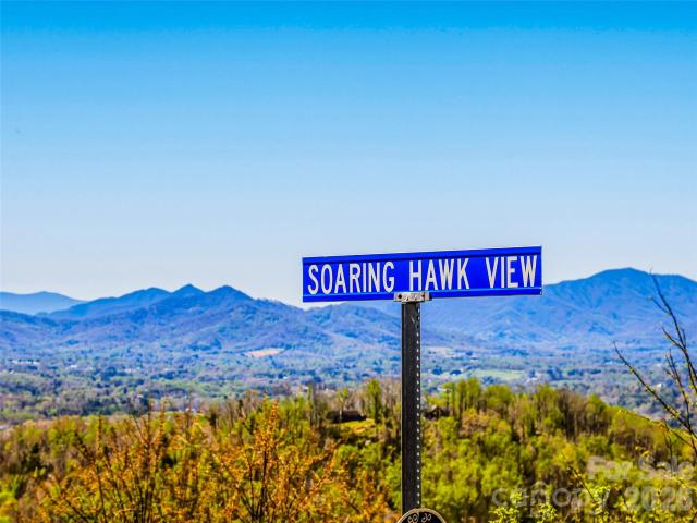 5 Soaring Hawk View # 14