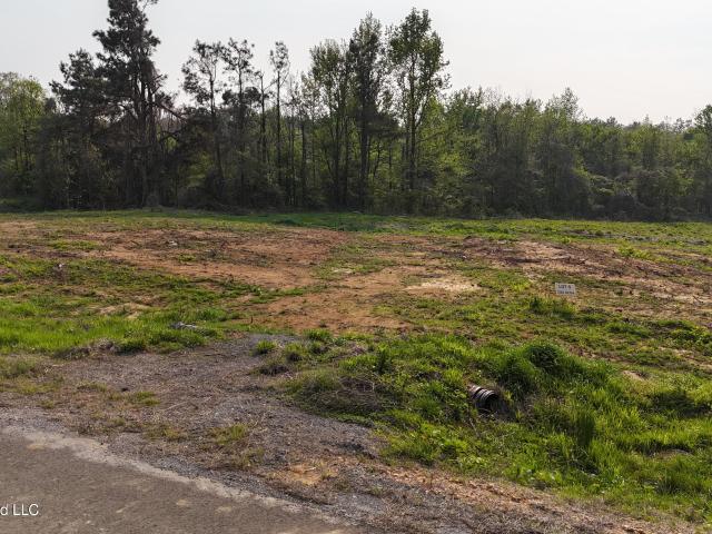 5 Tyro Branch Cove