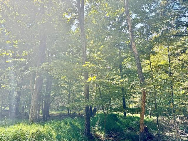 5 Trails