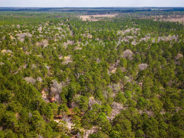5 Triple Creek Loop, Livingston, TX 77351 | MLS #34187 | Compass