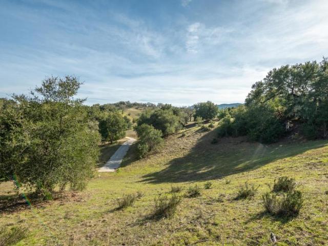 5 Vasquez Lot 170 Trail