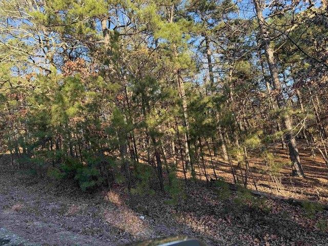 5 Vecilla Ln, Hot Springs Village, AR 71909