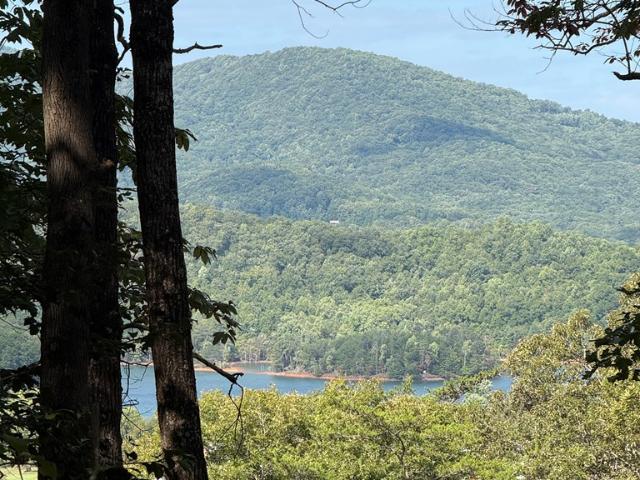 5 Whiskey Mountain Estates, Hiawassee, GA 30546 | MLS #425375