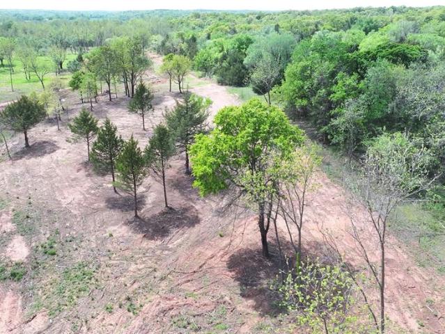 5 Wild Horse Creek