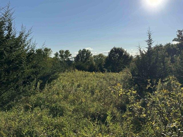 5 Woodside Dr, Galena, IL 61036