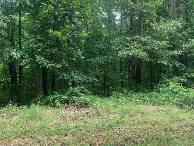 5.008 ac digby rd tract ii