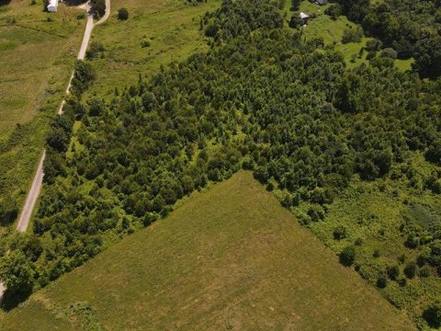 5.14 Ac N Wells Hill Ln, Bulls Gap, TN 37711
