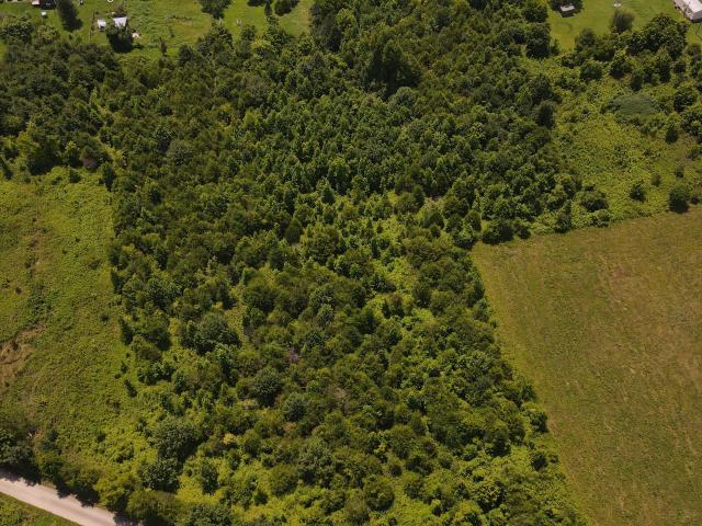 5.14 Ac North Wells Hill Lane